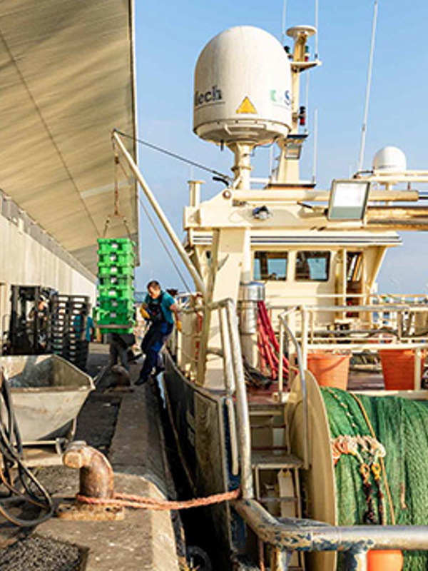 Pivot point for transport, fish and maritime services